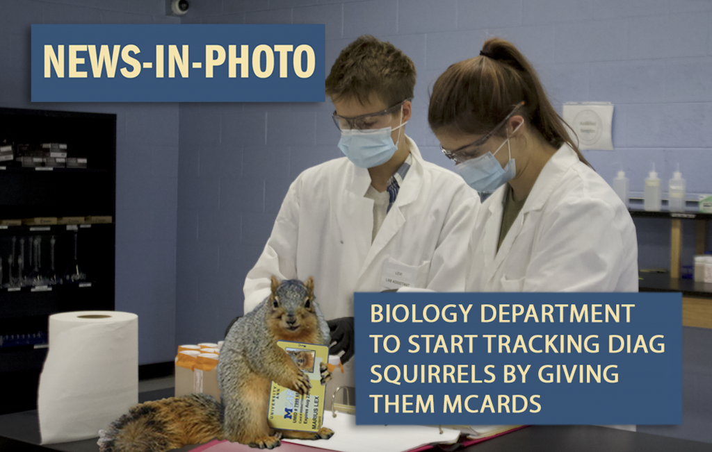 Biology Department To Start Tracking Diag Squirrels By Giving Them ...
